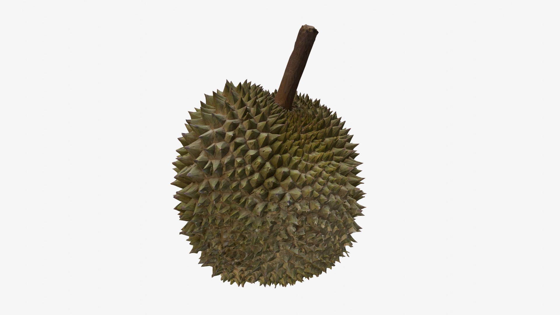 3D Model Durian - TurboSquid 2117697