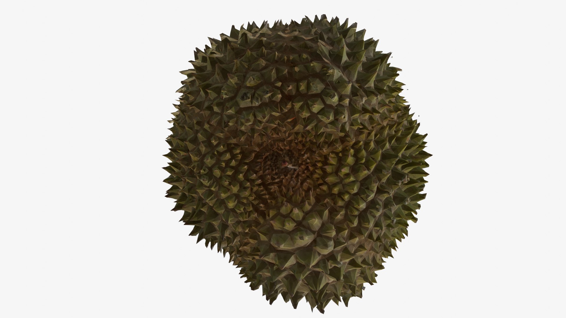 3D Model Durian - TurboSquid 2117697