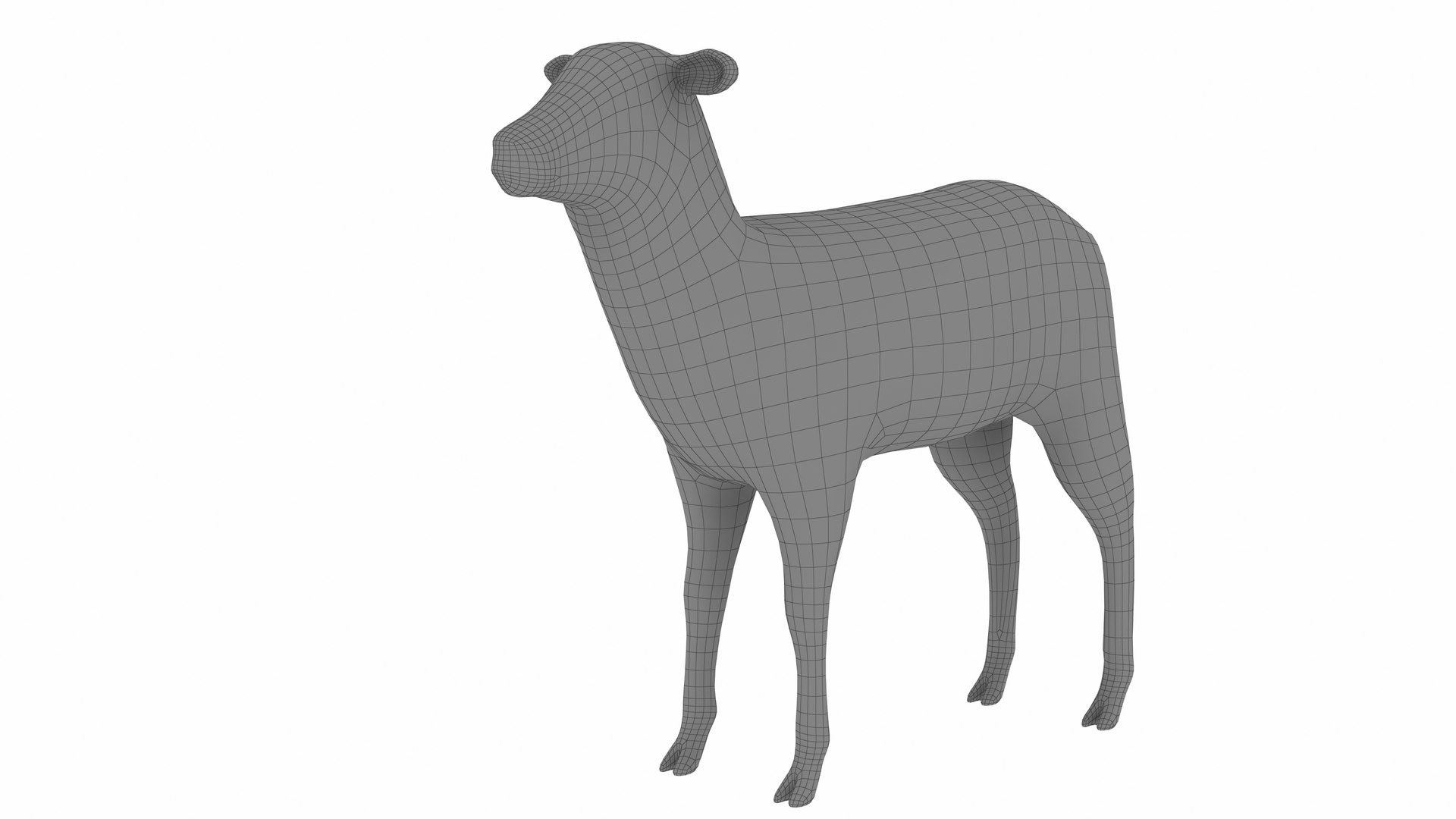 3D Model Sheep And Sheep Carcass Collection - TurboSquid 2395519