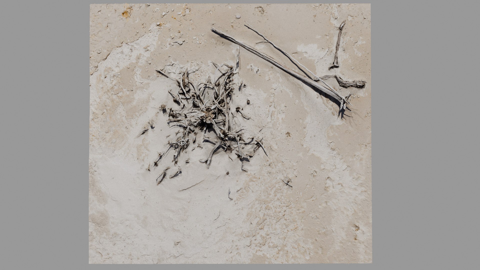 Dead Tree 007 3D - TurboSquid 2324912