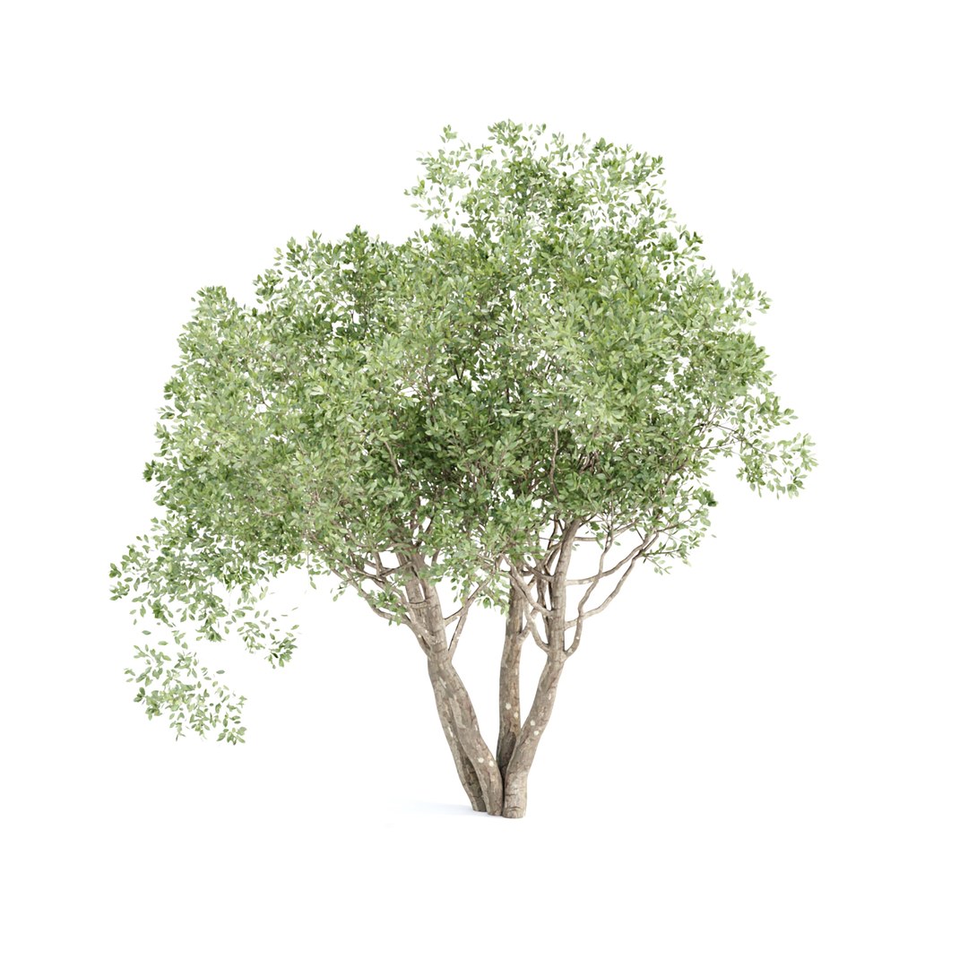 3D Shrubs Collection vol 242-3DModel model - TurboSquid 2156705