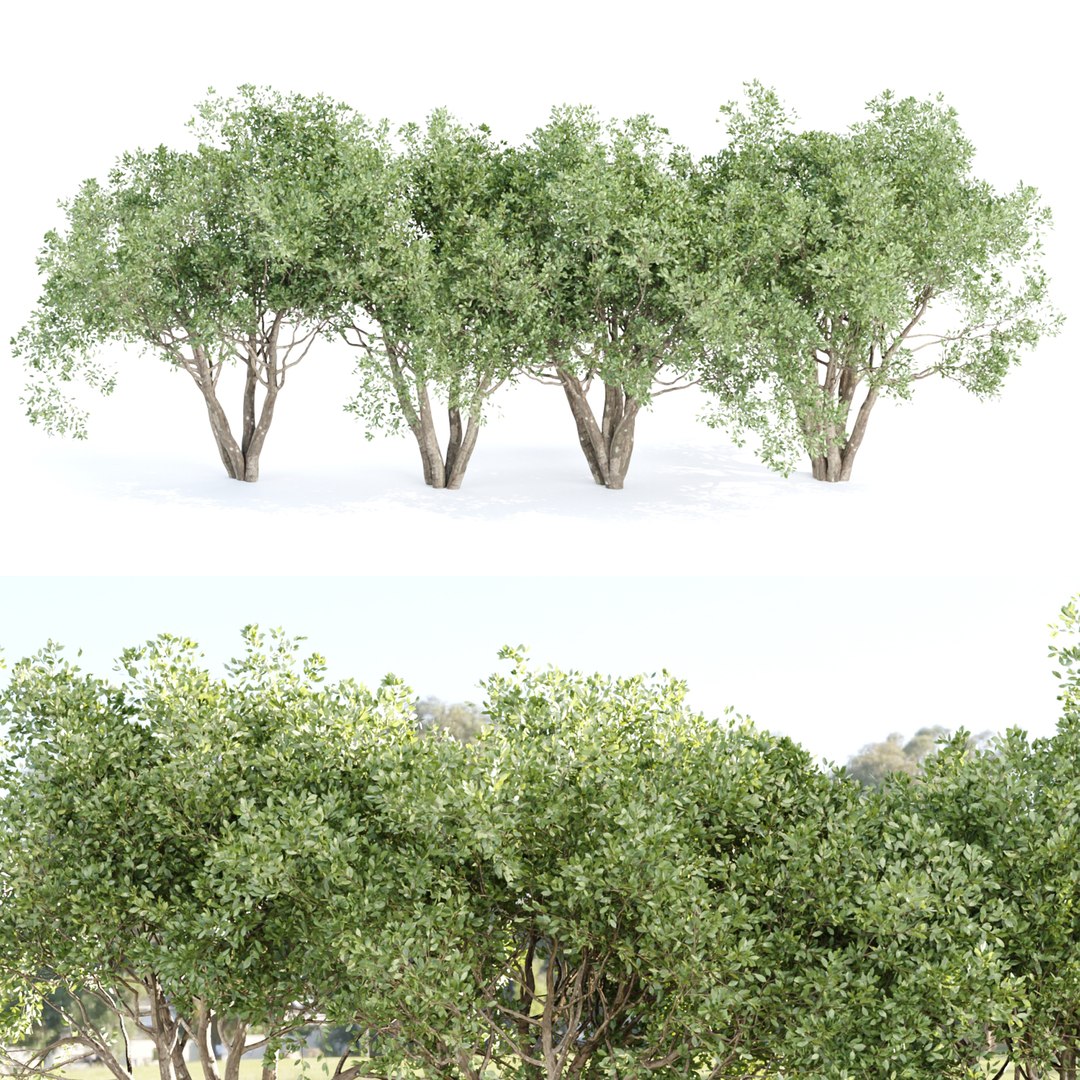 3D Shrubs Collection vol 242-3DModel model - TurboSquid 2156705
