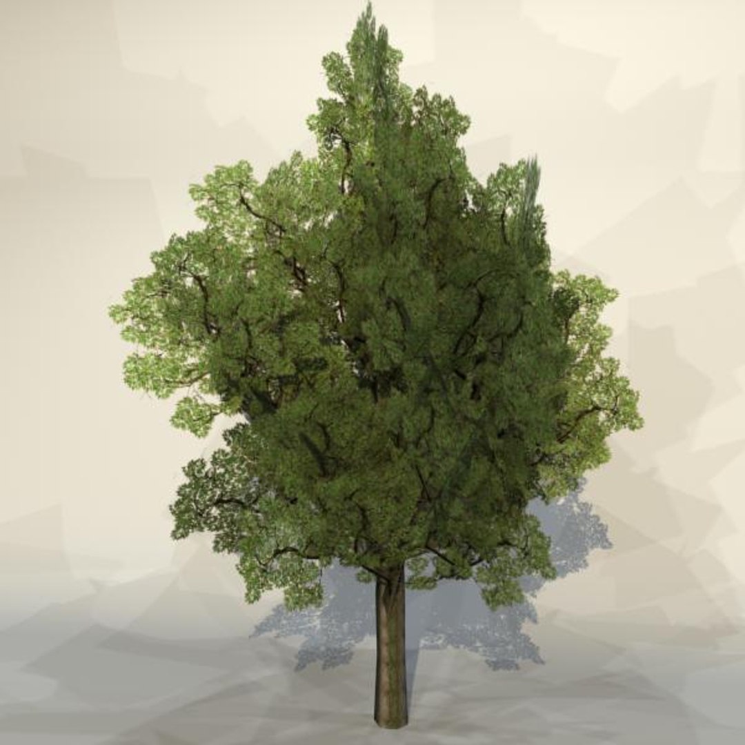 3d pc tree