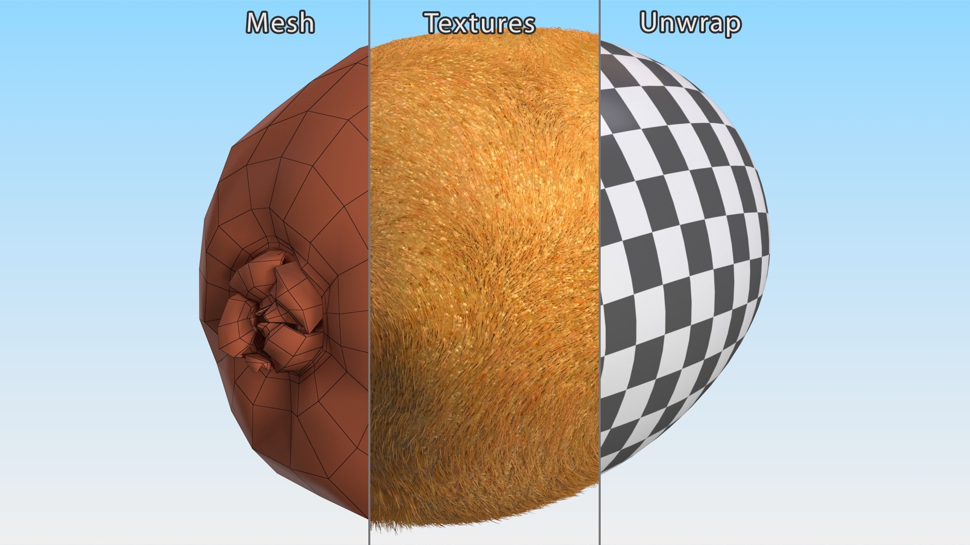 Kiwi With Fur 3D Model - TurboSquid 2112378