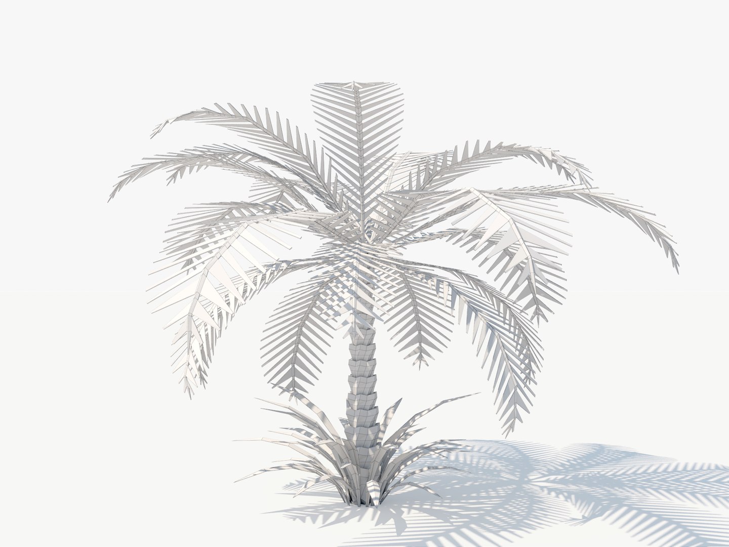3d Palm Tree