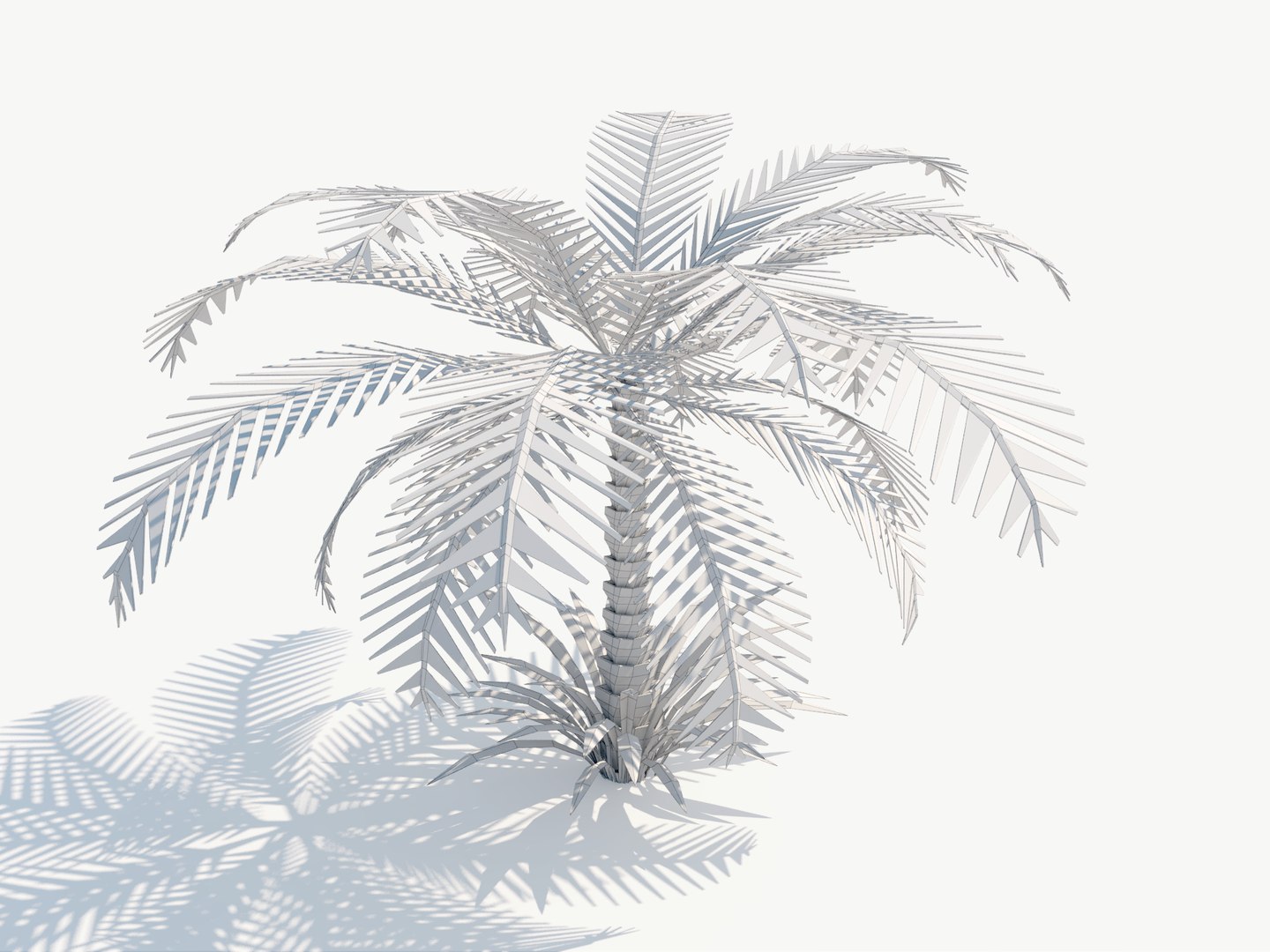3d Palm Tree