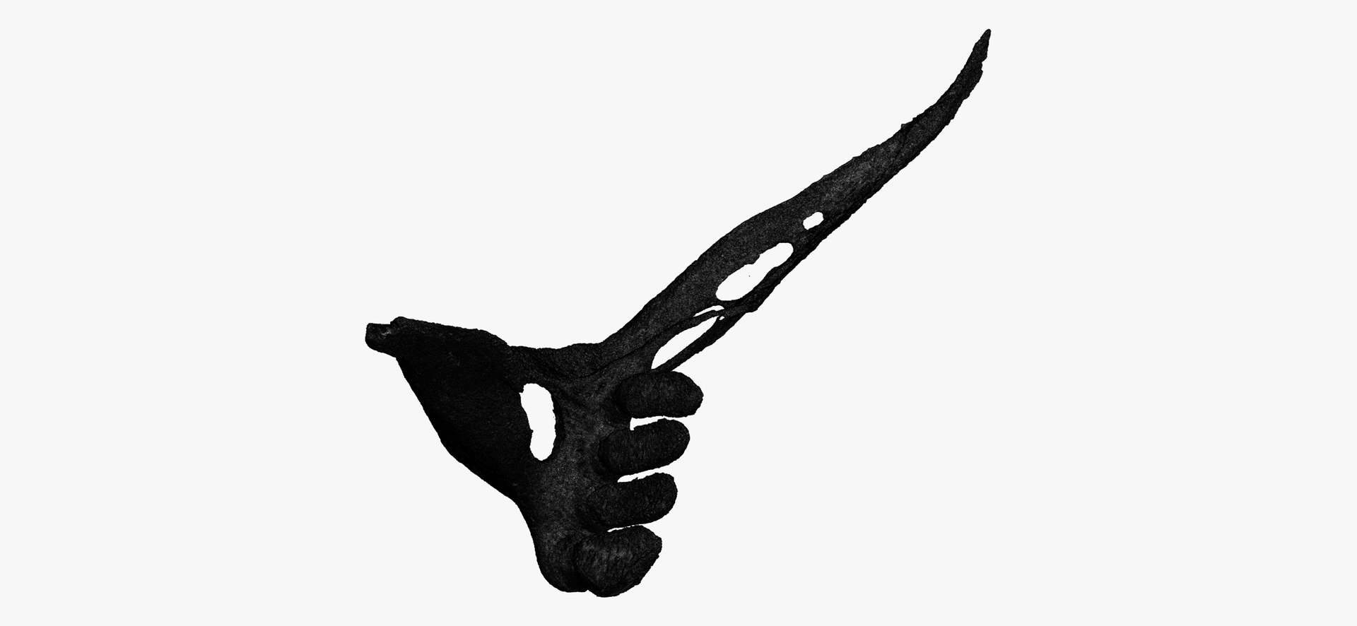 Fish Gill Arch With Teeth 01 RAW Scan 3D Model - TurboSquid 1957007