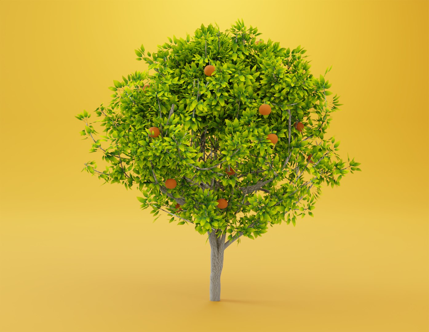 Orange Tree 3D - TurboSquid 1520795