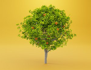 3D Orange Tree Models - Browse & Download Formats - TurboSquid