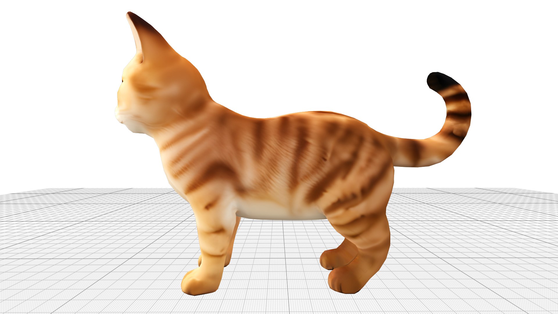 3D Model Tabby Cat - TurboSquid 2305695