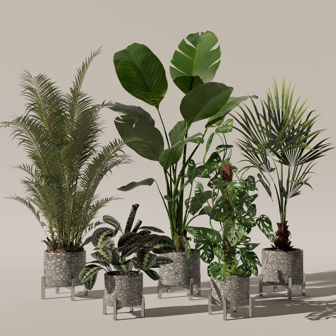 3D Plants Collection 130 - TurboSquid 1958934