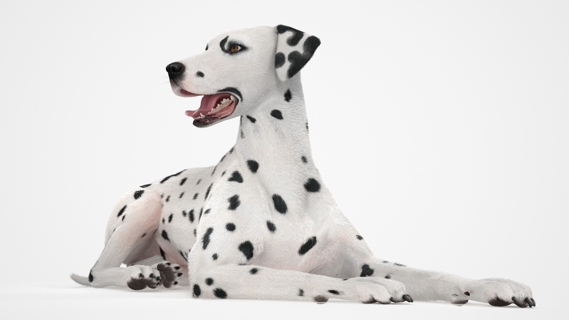 3D Model Lying Dalmatian Dog Fur - TurboSquid 2234891