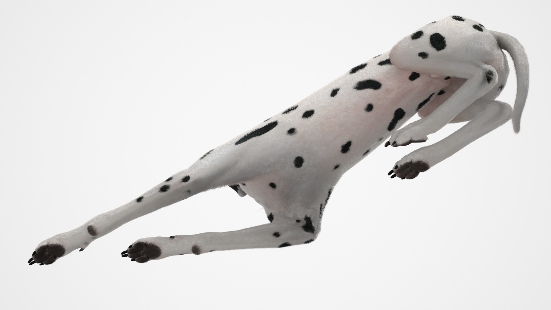 3D Model Lying Dalmatian Dog Fur - TurboSquid 2234891