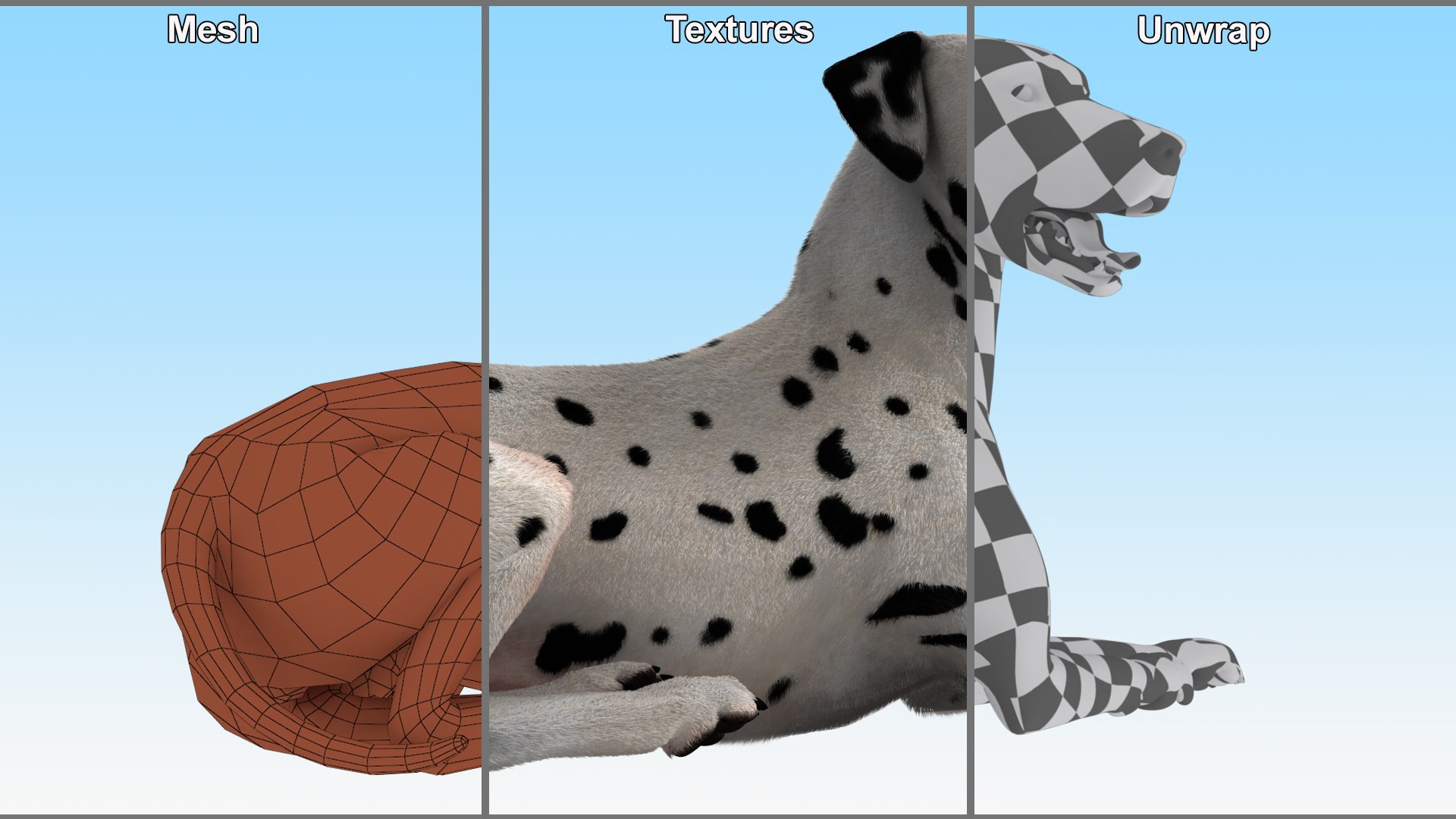 3D Model Lying Dalmatian Dog Fur - TurboSquid 2234891