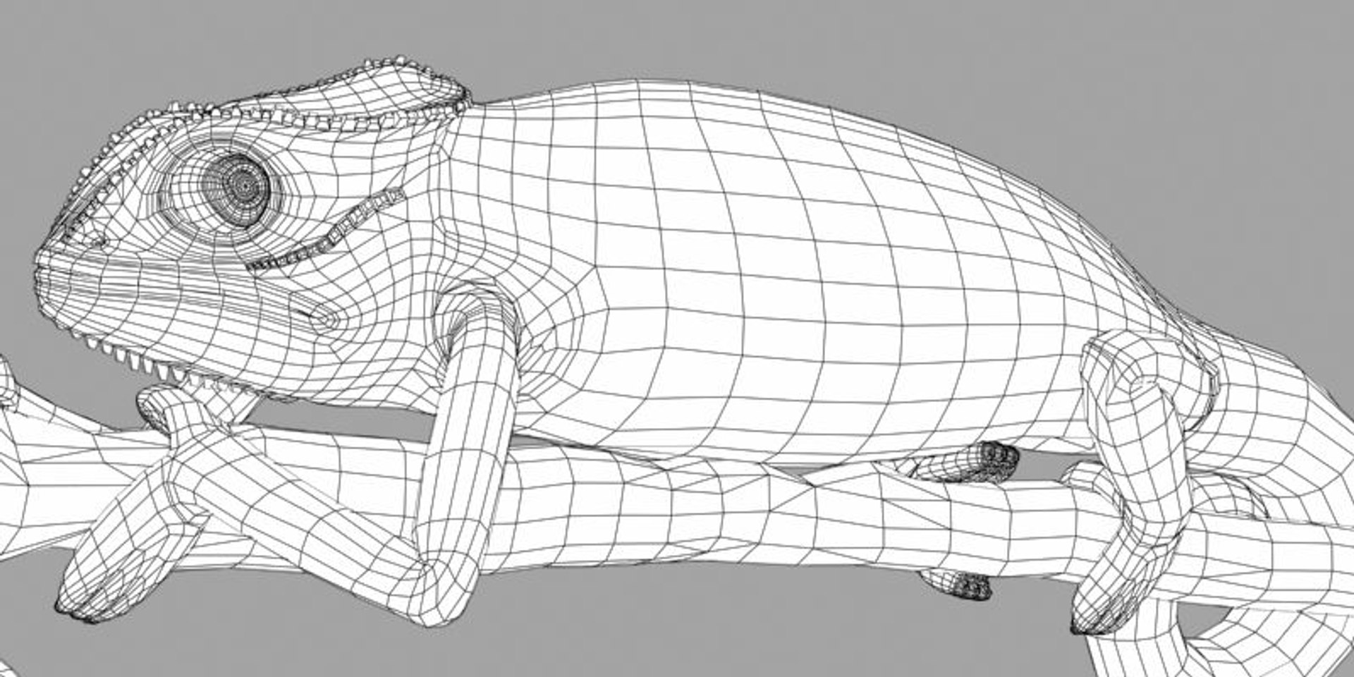 3ds Max Chameleon