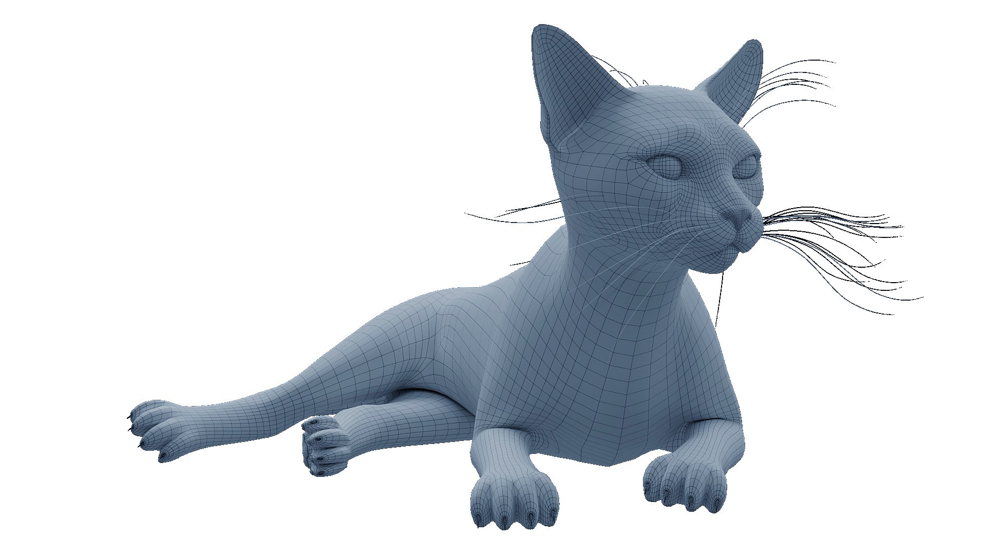 Fluffy Cat 3D Model - TurboSquid 2336495