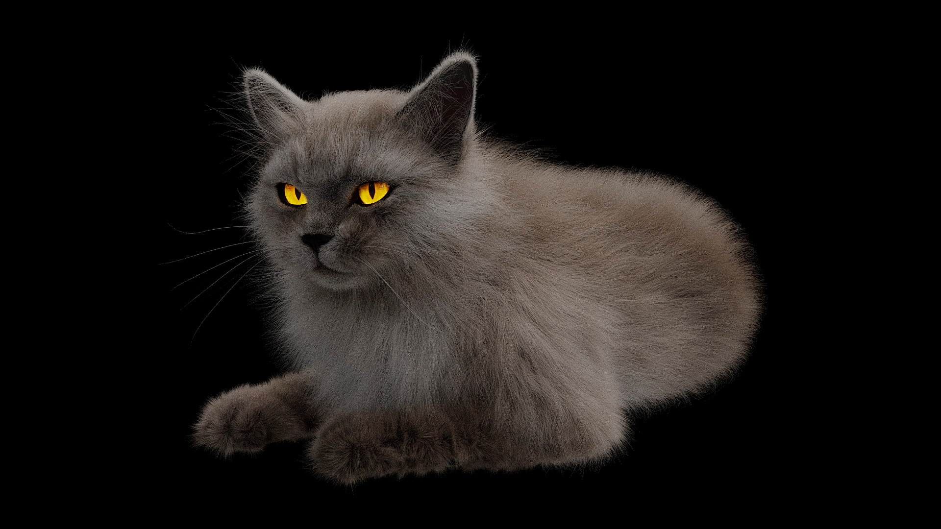 Fluffy Cat 3D Model - TurboSquid 2336495