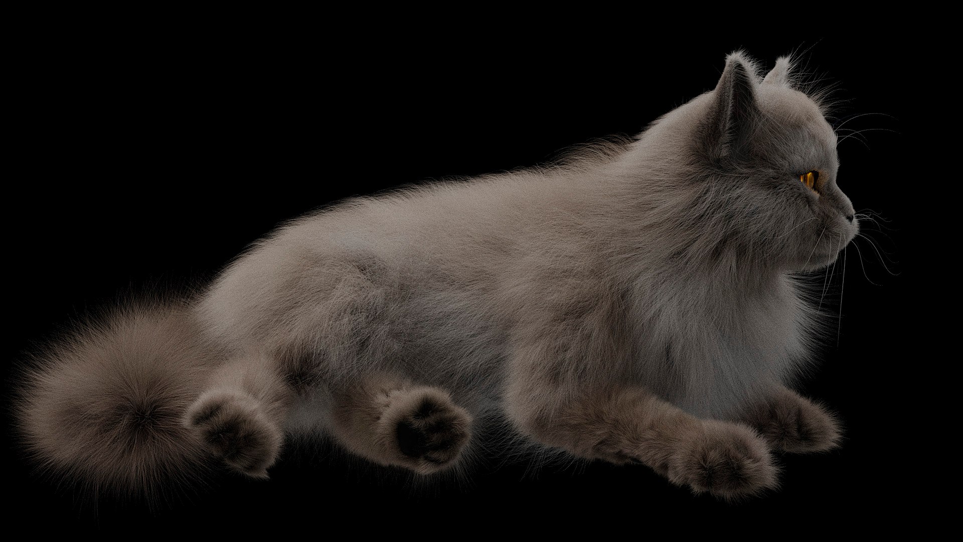 Fluffy Cat 3D Model - TurboSquid 2336495