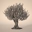 3D Olive Trees Animation Realistic Model - TurboSquid 1396078