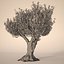 3D Olive Trees Animation Realistic Model - TurboSquid 1396078