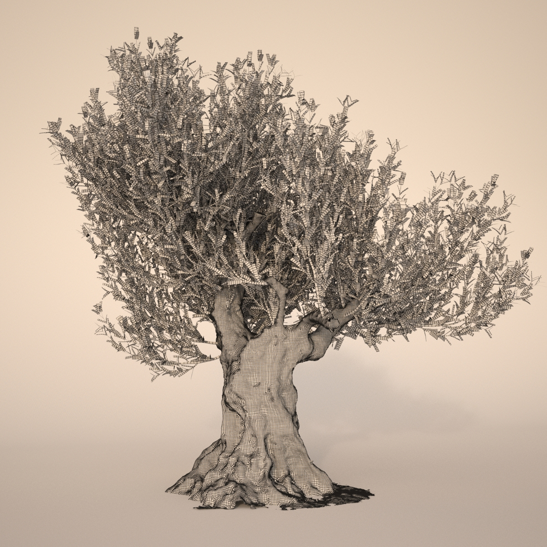 3D olive trees animation realistic model - TurboSquid 1396078