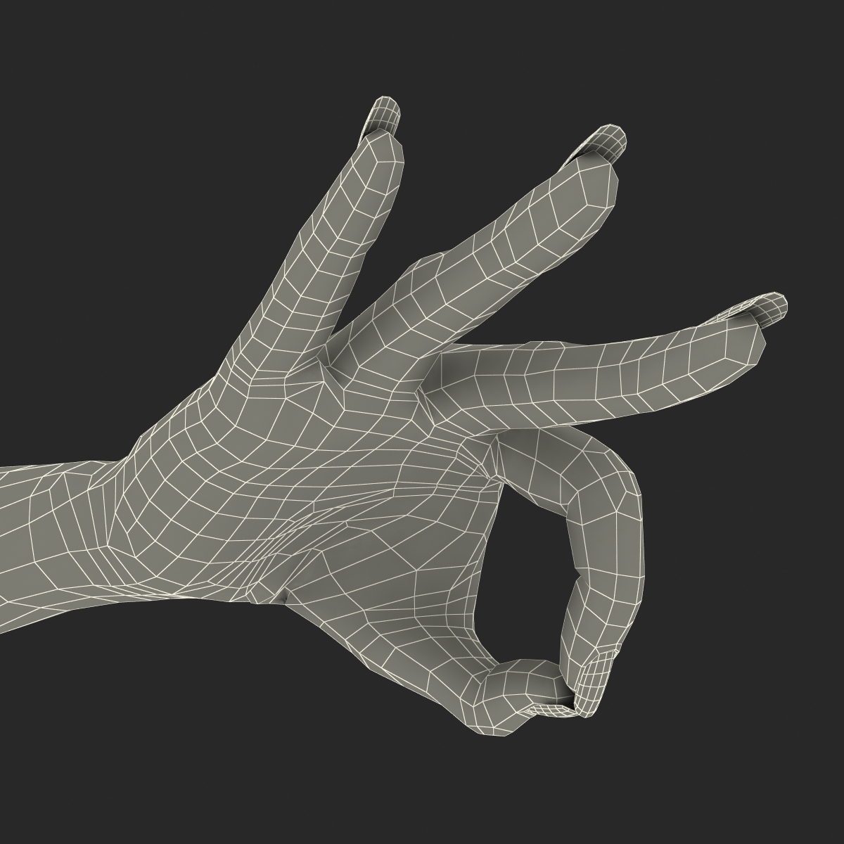 3d model female hand 2 ok