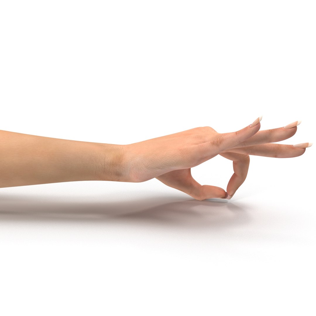 3d Model Female Hand 2 Ok