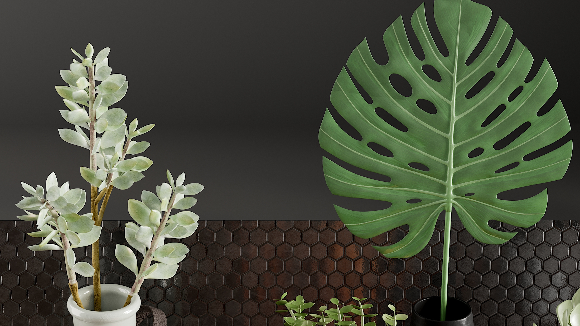 3D realistic potted plants model - TurboSquid 1533900