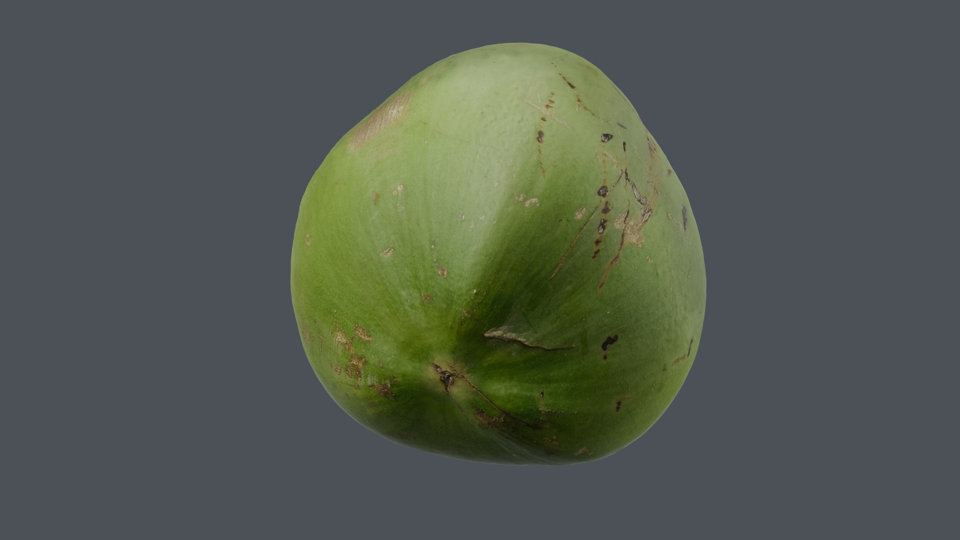 3D Model Coconut - TurboSquid 2343046