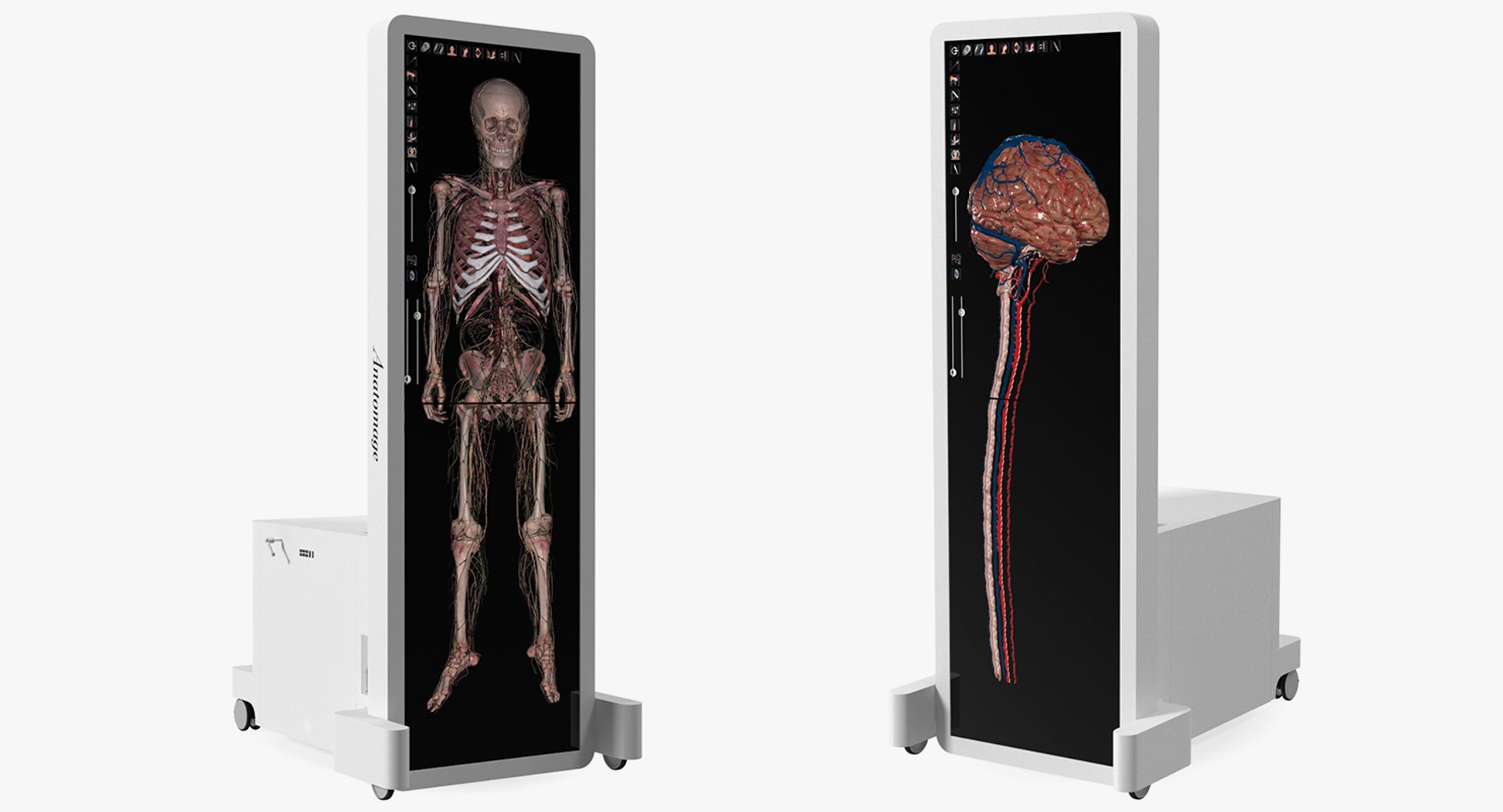 3D Model Medical Interactive Desktop Display Devices Collection ...