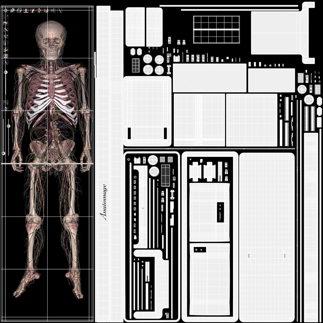 3D model Medical Interactive Desktop Display Devices Collection ...