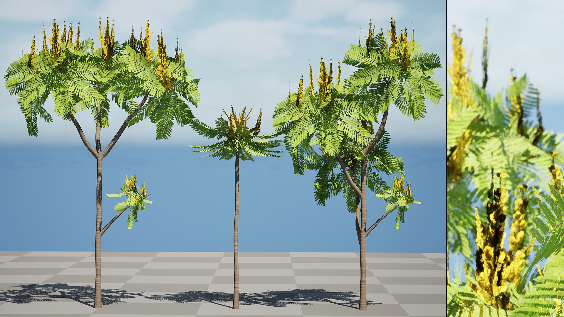 Brazilian Firetree 3D Model 3D Model - TurboSquid 2305893