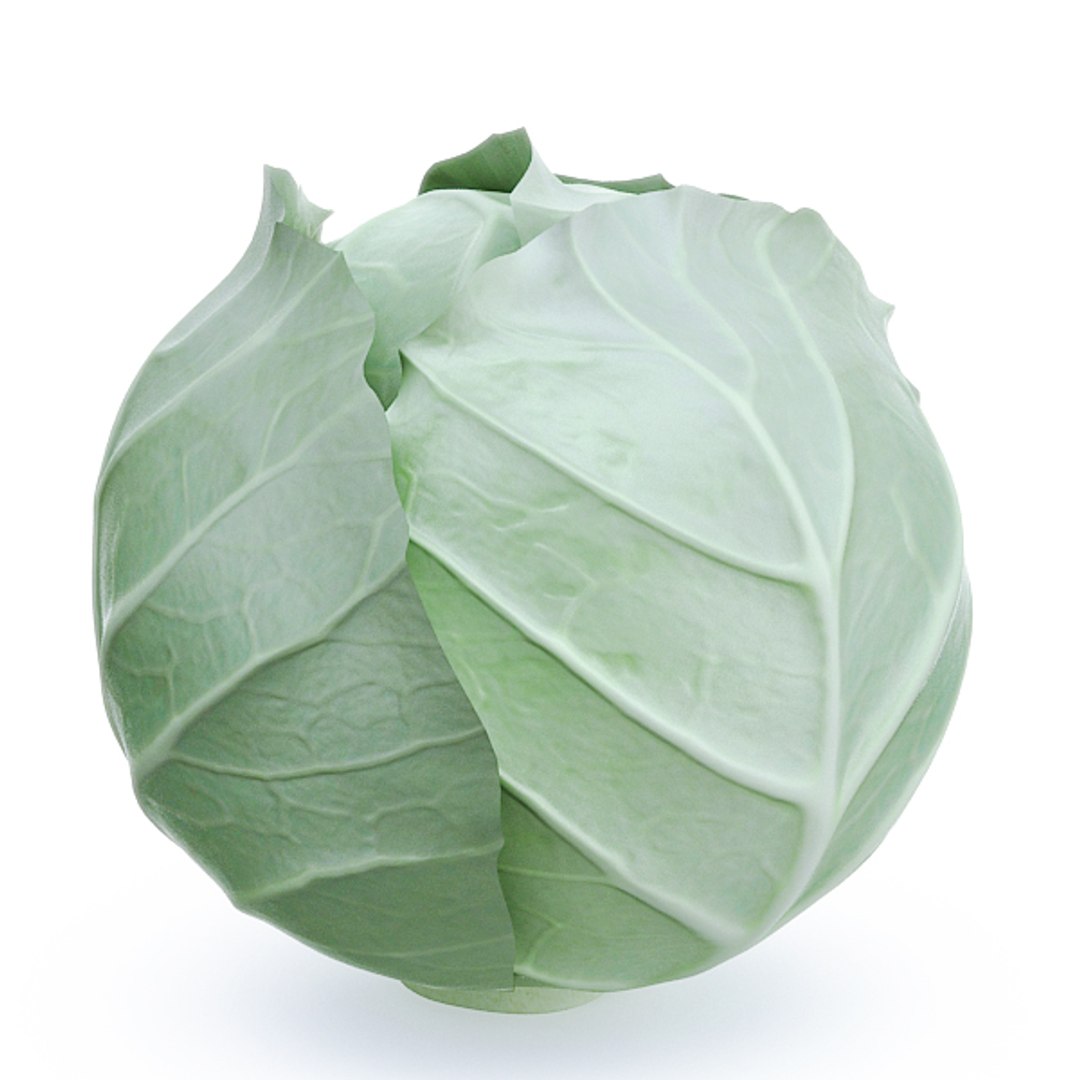 3dsmax Cabbage