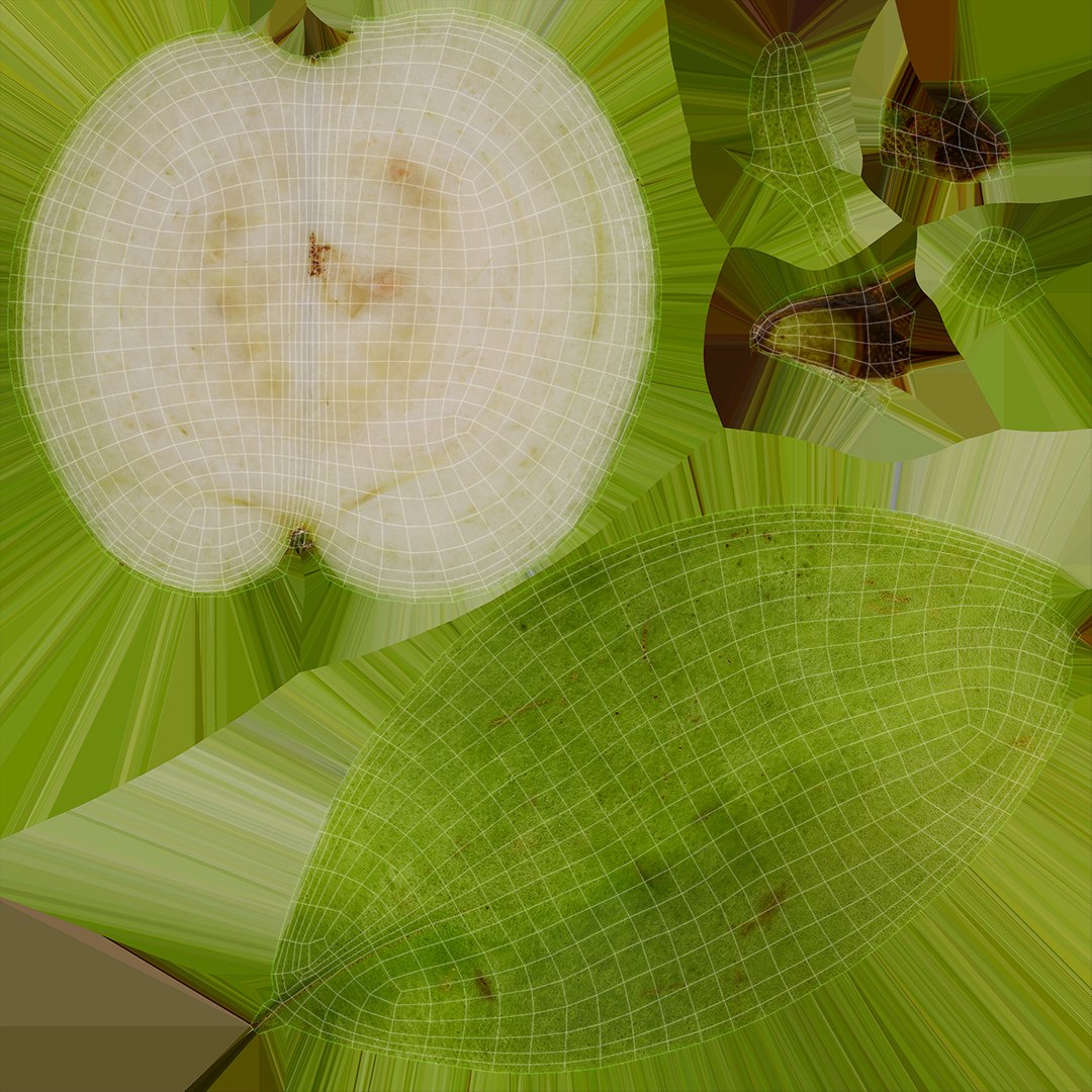 Guava Slice 3D model - TurboSquid 1756026