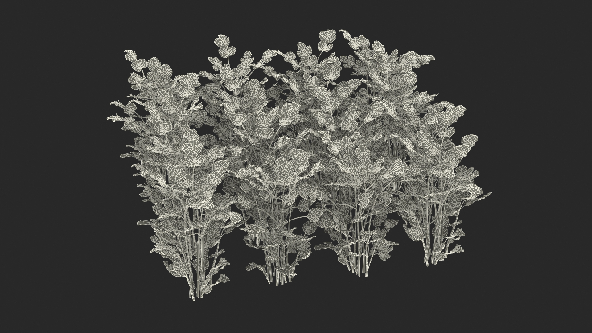 Cilantro Garden Bed 3D - TurboSquid 1886125