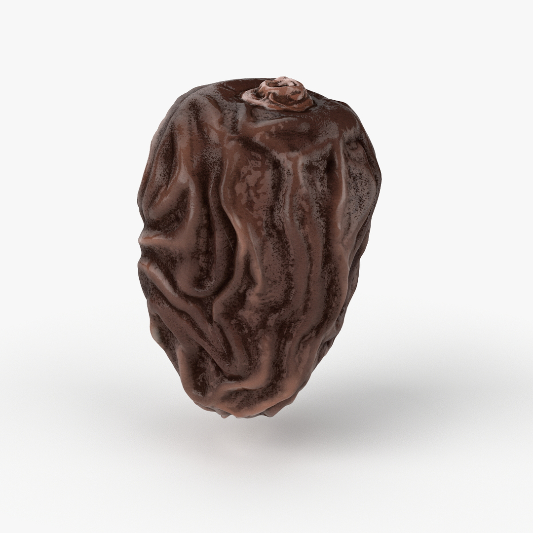 3d Model Realistic Dates Real