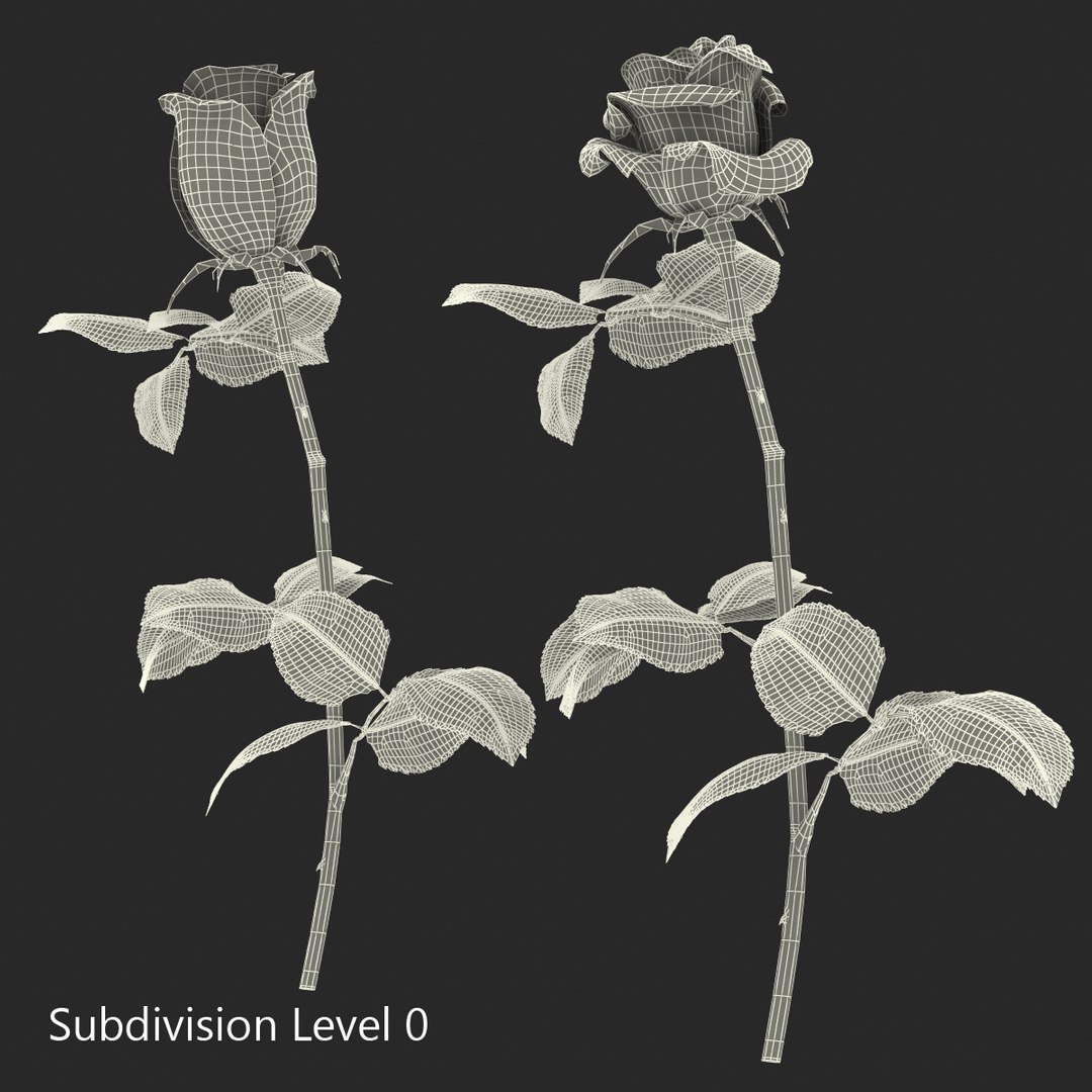 roses set 3d obj