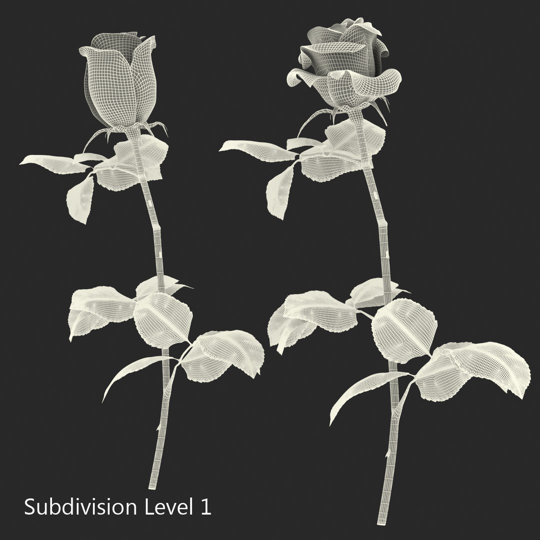roses set 3d obj