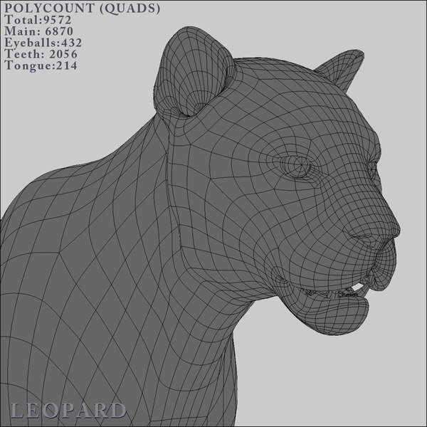 leopard fur 3d model