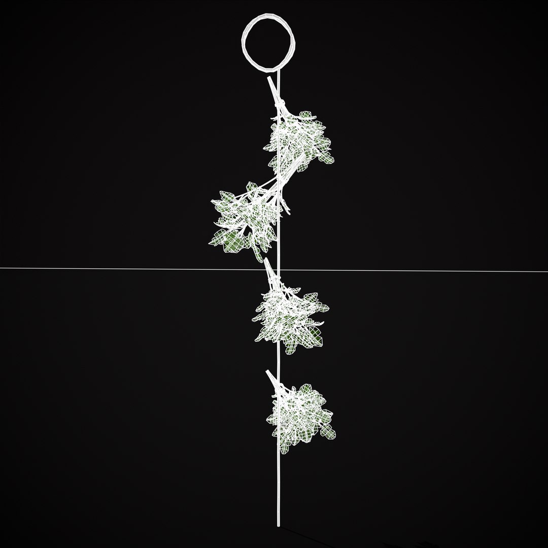 3D Six Hanging Food Stuffs - TurboSquid 2202941