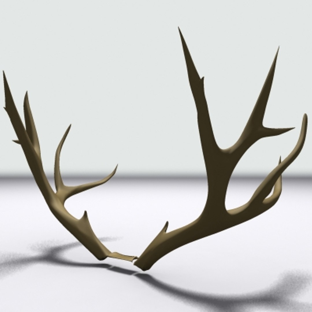 Deer Antlers Fbx