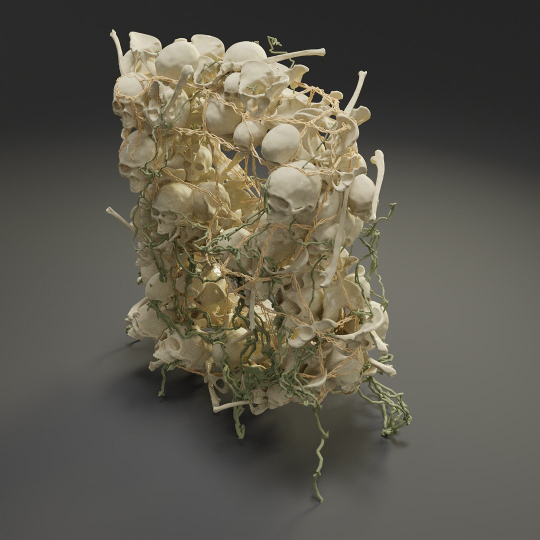 Letter b bones skeleton model - TurboSquid 1546040