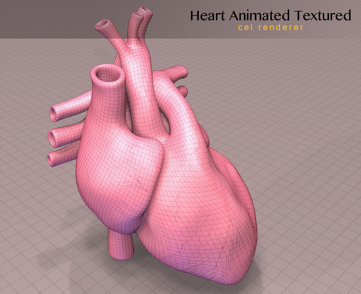 3d heart cycle animation