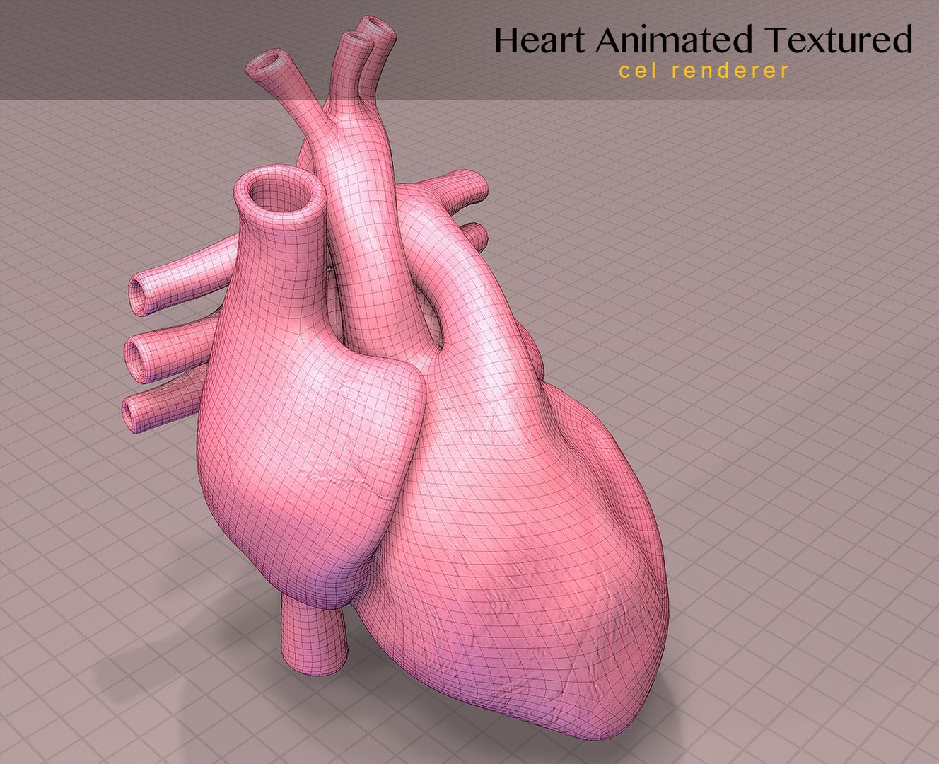 3d Heart Cycle Animation