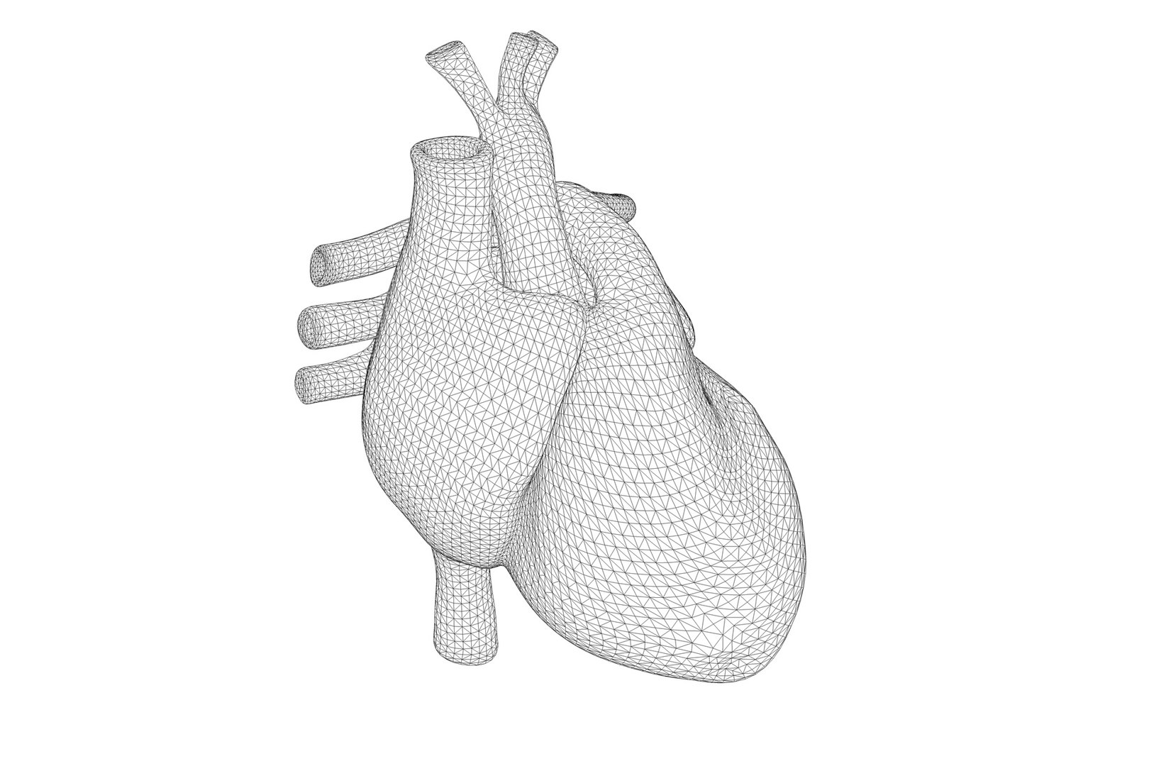 3d Heart Cycle Animation