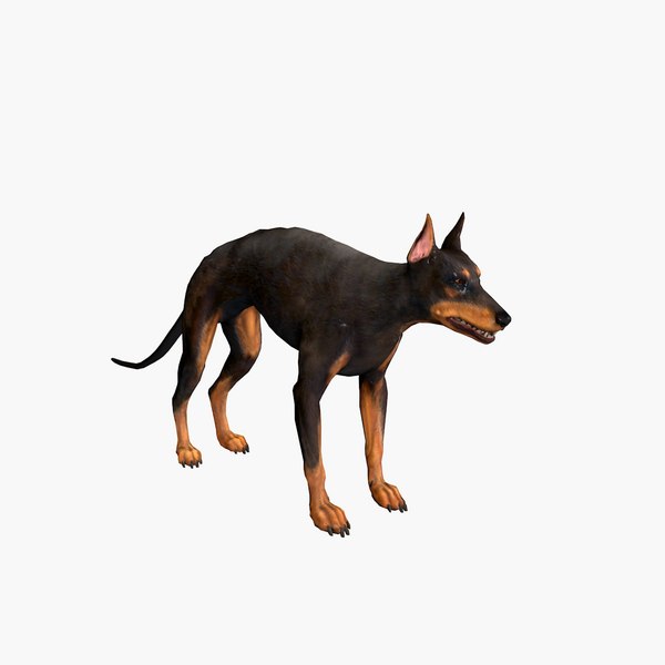 modelo 3d Perro - TurboSquid 2344988
