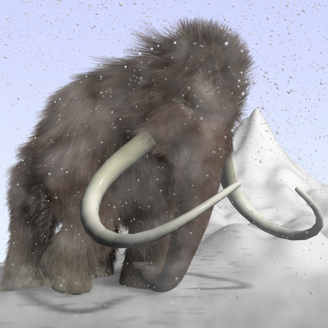 Cartoon Mammoth Rigged 3d Model