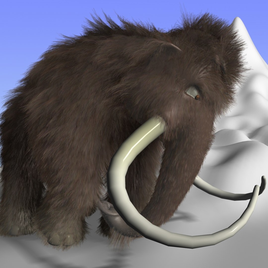 Cartoon Mammoth Rigged 3d Model