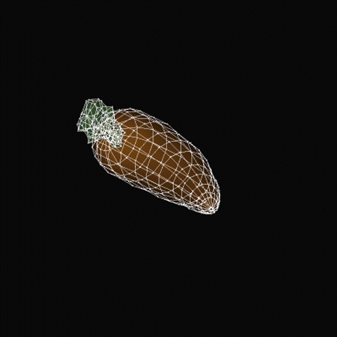 Zipped 3d Model