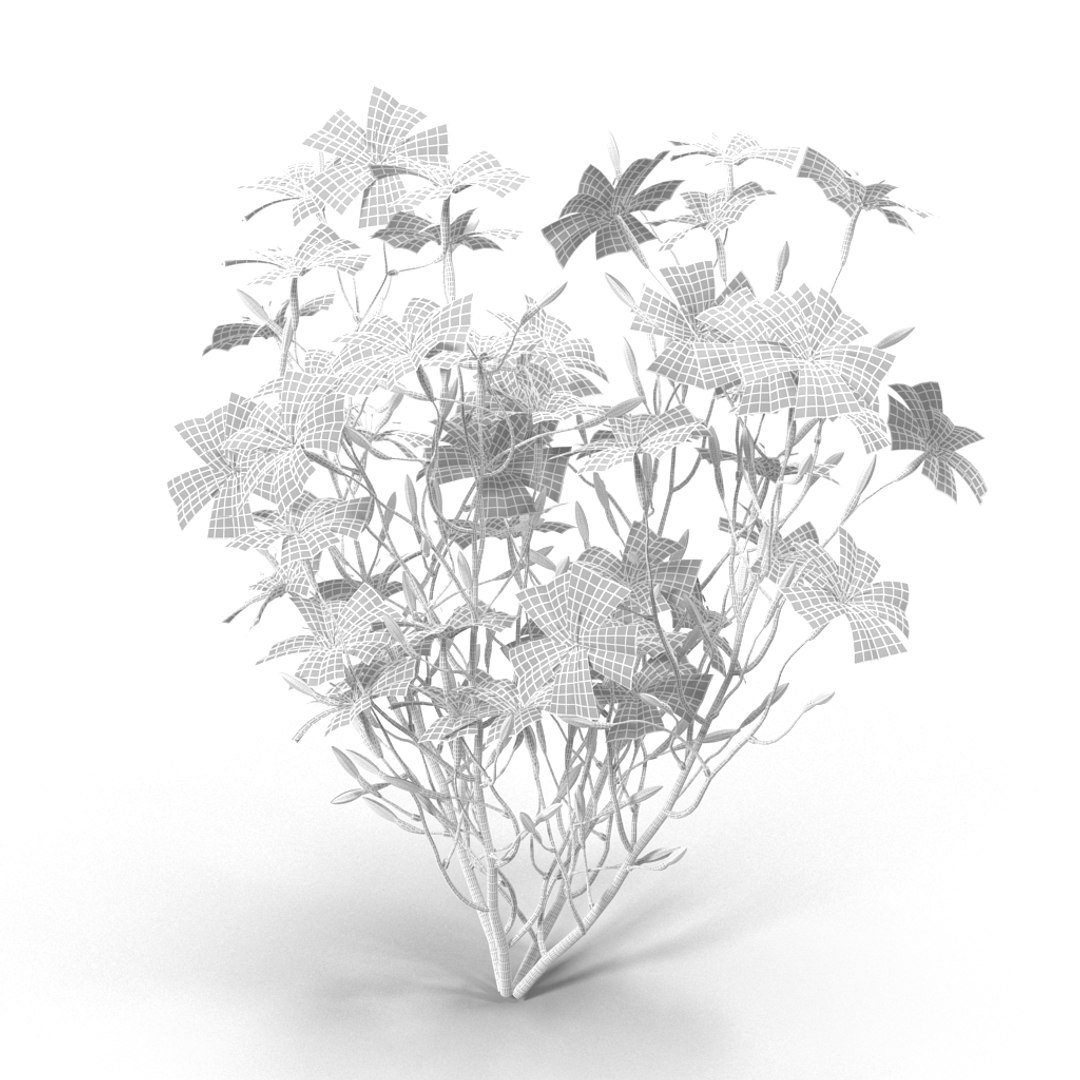3d Carnation Model